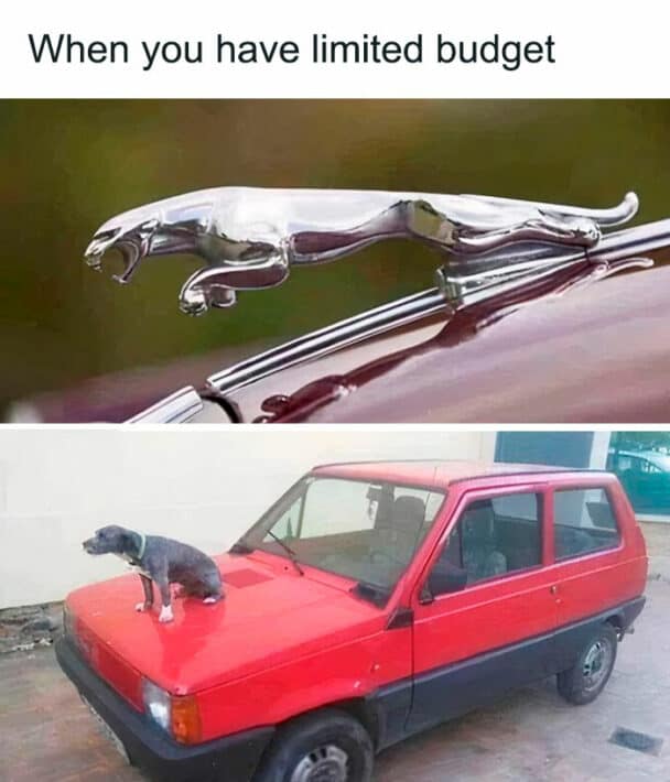 30+ Funny Car Memes That Sped Into Our Feeds And Wrecked Us With Laughter