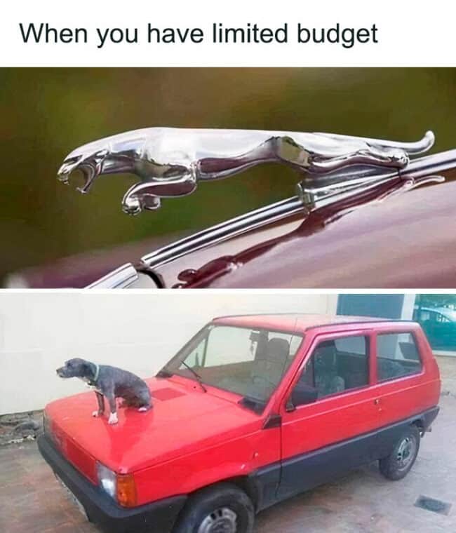 30+ Funny Car Memes That Sped Into Our Feeds And Wrecked Us With Laughter