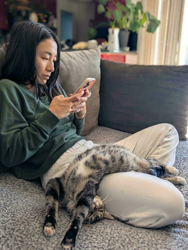 35 Funny Pictures Of Cats Minding Their Business While Accidentally ...