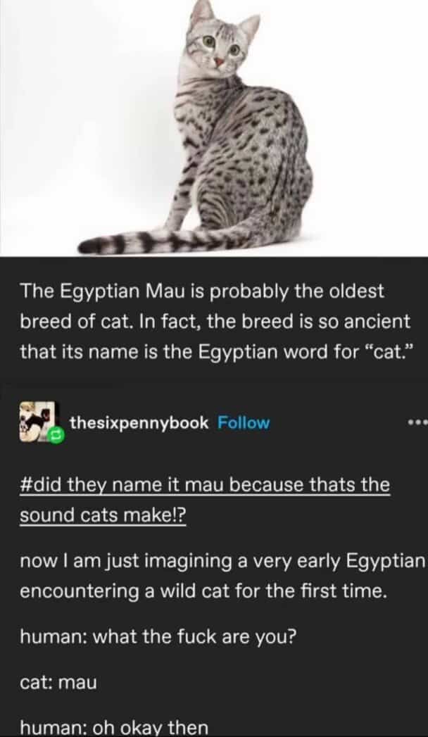 30 Hilariously Philosophical Tumblr Posts That Make Some Solid And ...