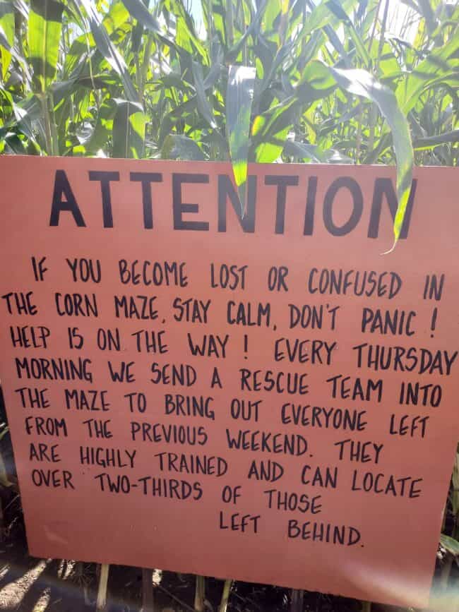 30 Corn Maze Memes You Can Get Lost In Until The Send The Search Party