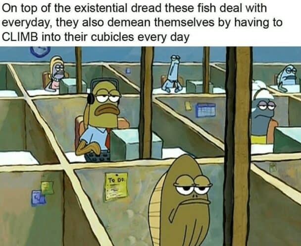 20 Cubicle Memes For Office Workers Boxed Up In Their 9-To-5