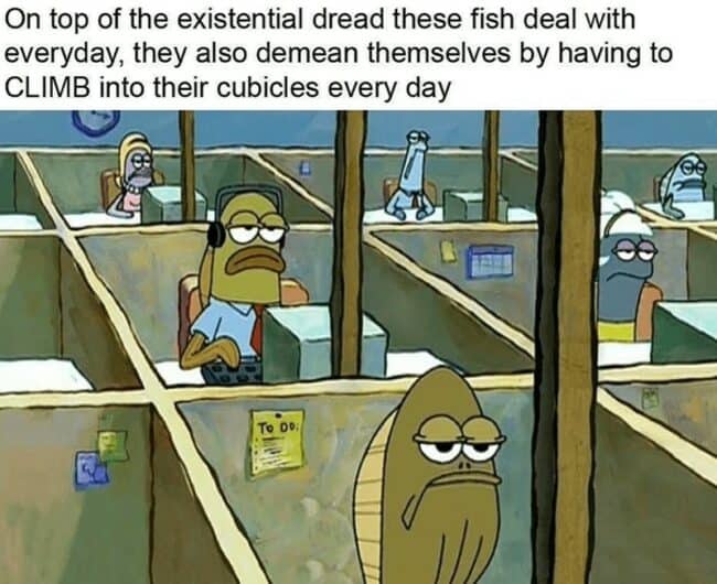 20 Cubicle Memes For Office Workers Boxed Up In Their 9-To-5