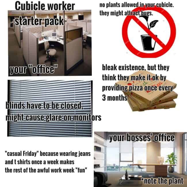 20 Cubicle Memes For Office Workers Boxed Up In Their 9-To-5