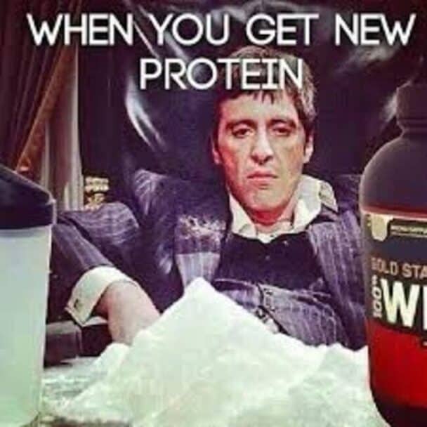 25 Funniest Protein Memes For Bulking Up The Muscles Around Your Funny Bone