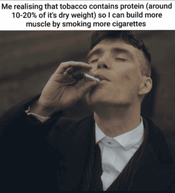 25 Funniest Protein Memes For Bulking Up The Muscles Around Your Funny Bone