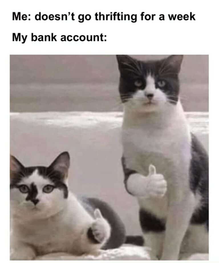 37 Funniest Thrifting Memes For Vintage Addicts And Bargain Goblins