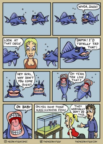 25 Funny Animal Comics By Kevin Erdmann That Are Equal Parts Silly And ...