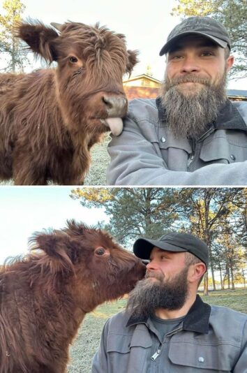 35 Funny Pictures Of Animals Being Big Old Weirdos