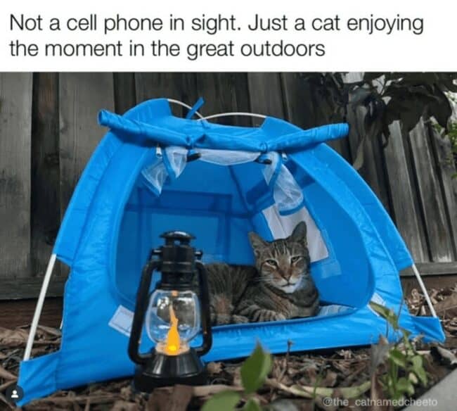 20 Camping Memes For Those Who Like Sleeping At Home, But Worse