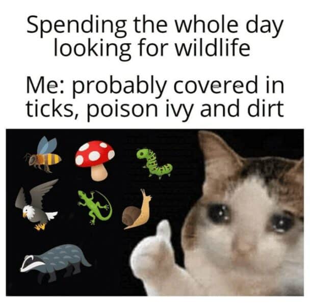 20 Camping Memes For Those Who Like Sleeping At Home, But Worse