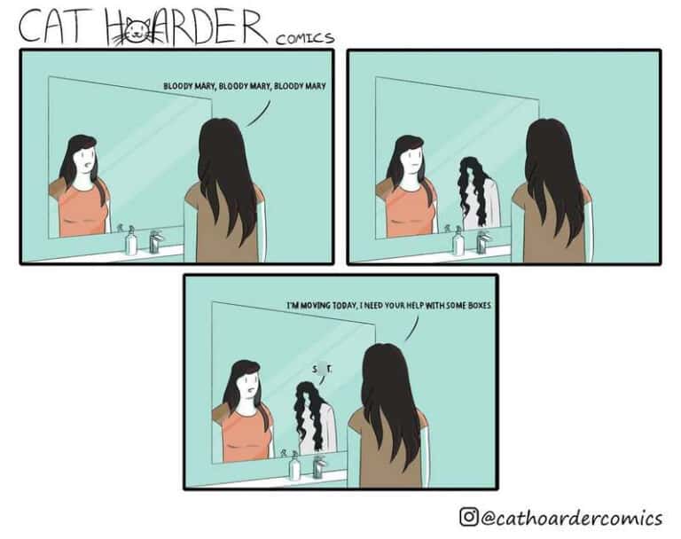30 Relatable "Cat Hoarder Comics" With Hilarious Twist Endings