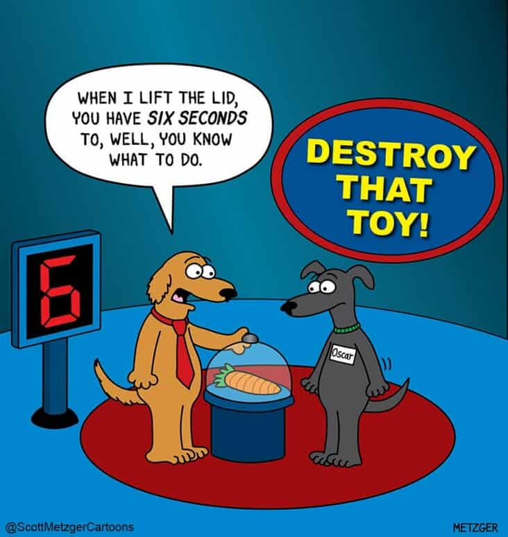25 Funny Comics For Pet Owners From Silly Cartoonist Scott Metzger