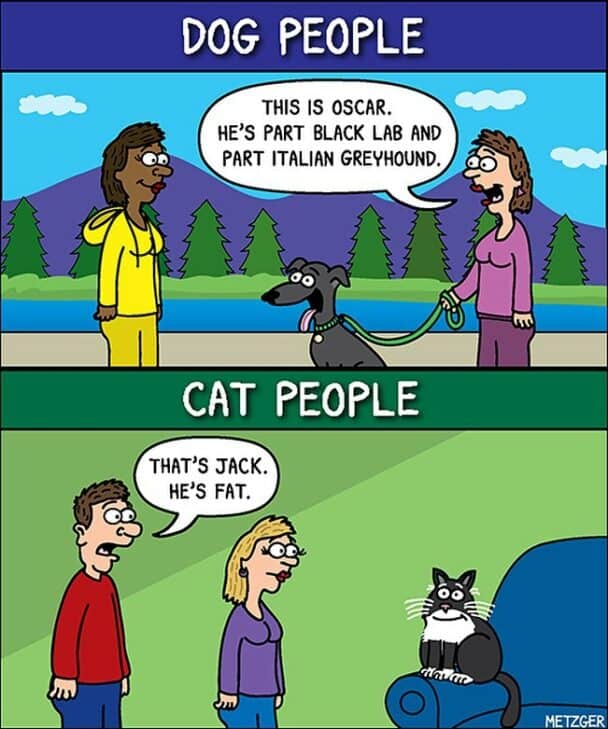 25 Funny Comics For Pet Owners From Silly Cartoonist Scott Metzger