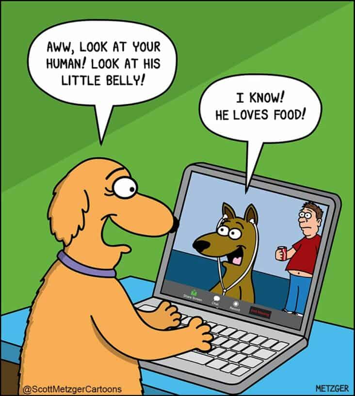 25 Funny Comics For Pet Owners From Silly Cartoonist Scott Metzger