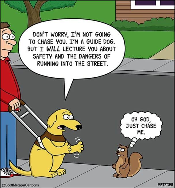 25 Funny Comics For Pet Owners From Silly Cartoonist Scott Metzger