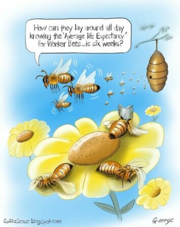 25 Delightfully Funny And Offbeat Single-Panel Comics By George Webster