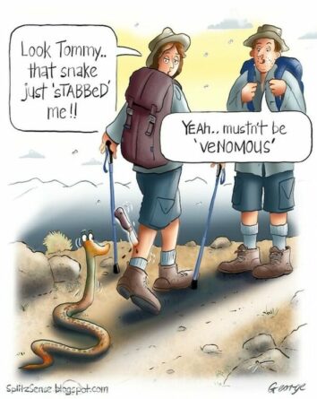 25 Delightfully Funny And Offbeat Single-Panel Comics By George Webster