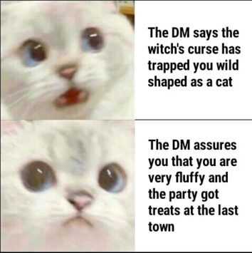 35 Funny Dungeon Master Memes For D&D Leaders Who’ve Ever Yelled “Roll ...
