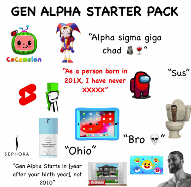 30 Funny Gen Alpha Memes That Perfectly Capture The Chaos Of Growing Up ...