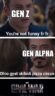 30 Funny Gen Alpha Memes That Perfectly Capture The Chaos Of Growing Up ...