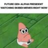 30 Funny Gen Alpha Memes That Perfectly Capture The Chaos Of Growing Up ...