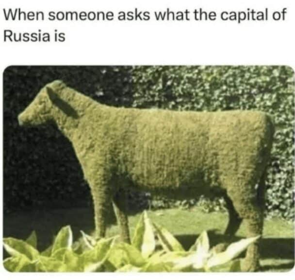 30 Geography Memes That Put Humor On The Map