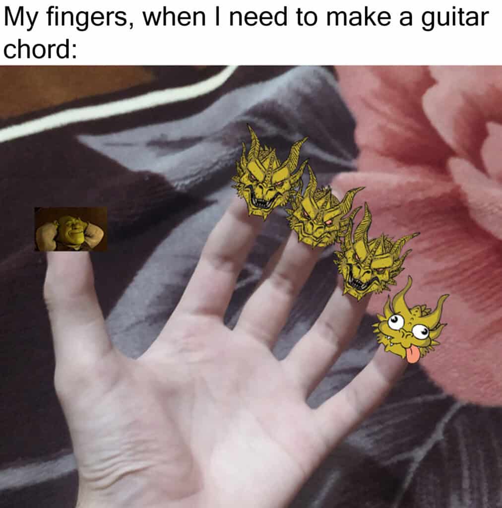 "Anything But Wonderwall" — 25 Guitar Memes For Seasoned Pros And ...