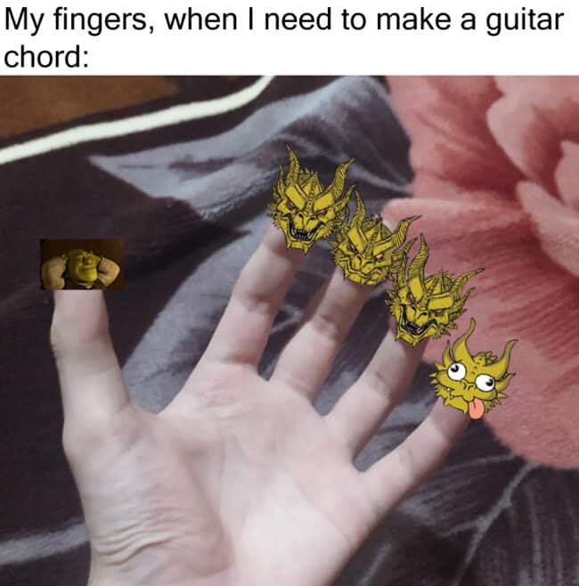 "Anything But Wonderwall" — 25 Guitar Memes For Seasoned Pros And ...