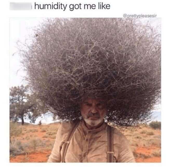 25+ Funny Humidity Memes For Everyone Whose Entire Body Feels Like Post ...