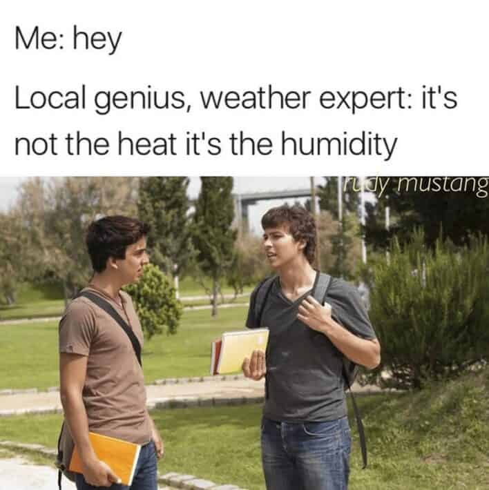 25+ Funny Humidity Memes For Everyone Whose Entire Body Feels Like Post ...