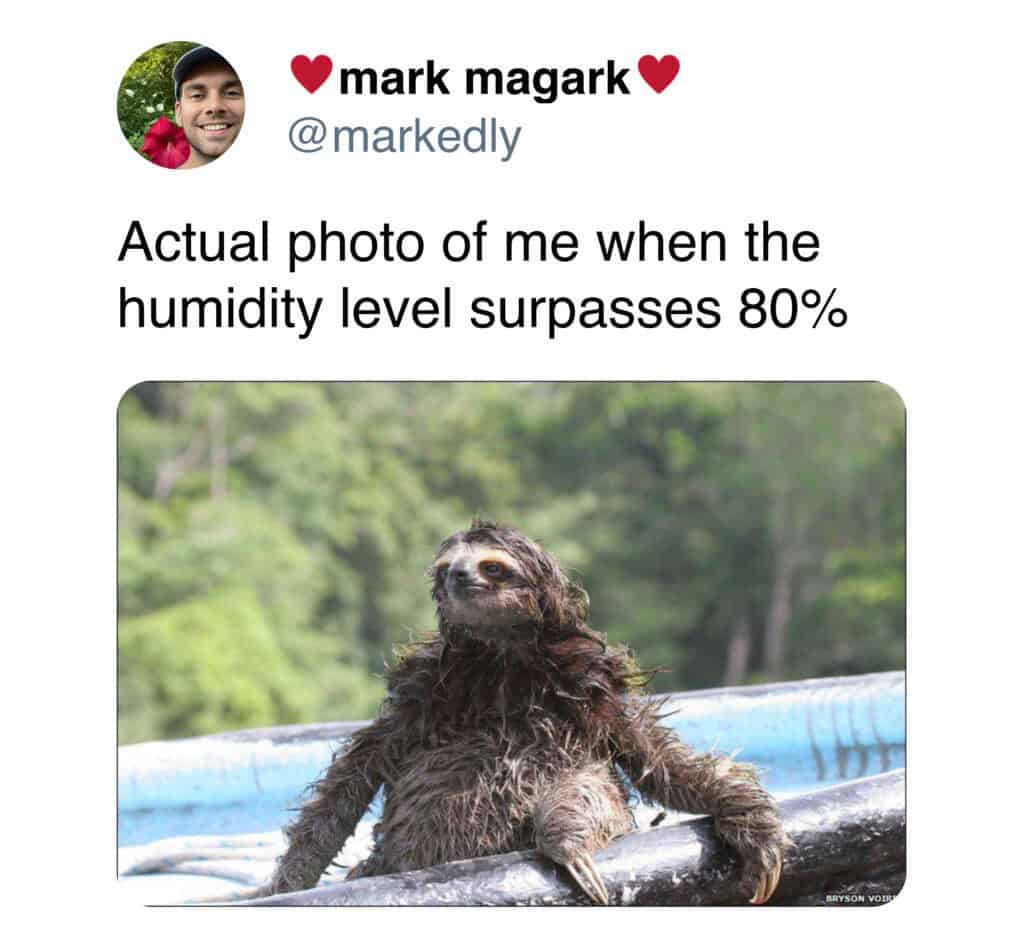 25+ Funny Humidity Memes For Everyone Whose Entire Body Feels Like Post ...