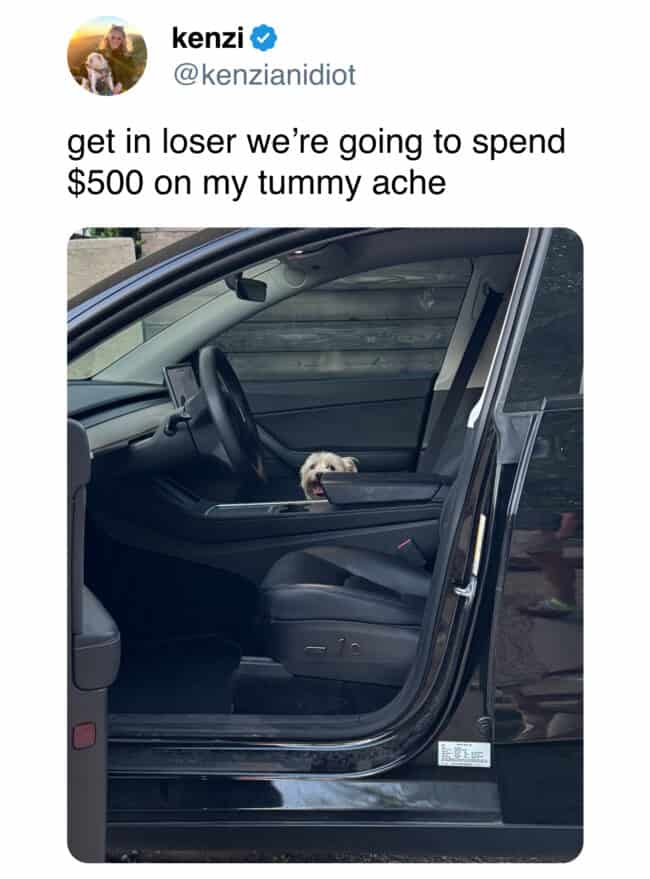 35 Funniest Picture Tweets Worth One Thousand Laughs This Week (July 10 ...