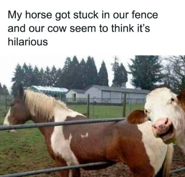 35 Funny Redneck Memes Big City Folk Wouldn't Understand