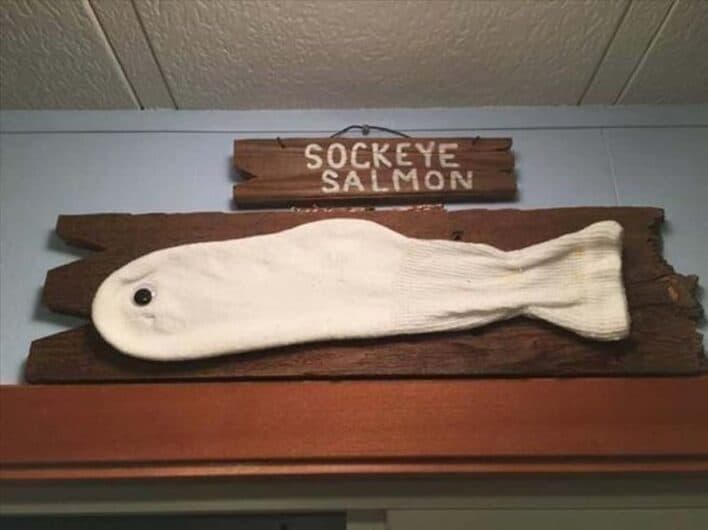 35 Funny Redneck Memes Big City Folk Wouldn't Understand