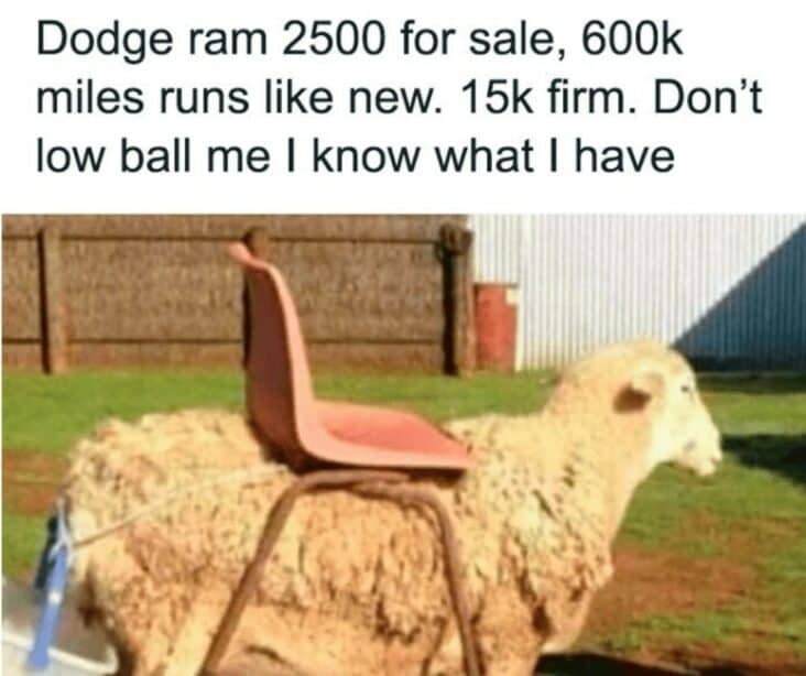 35 Funny Redneck Memes Big City Folk Wouldn't Understand