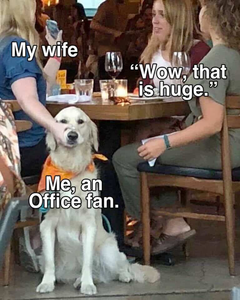 40 Funniest "The Office" Memes That Sum Up Daily Life Perfectly