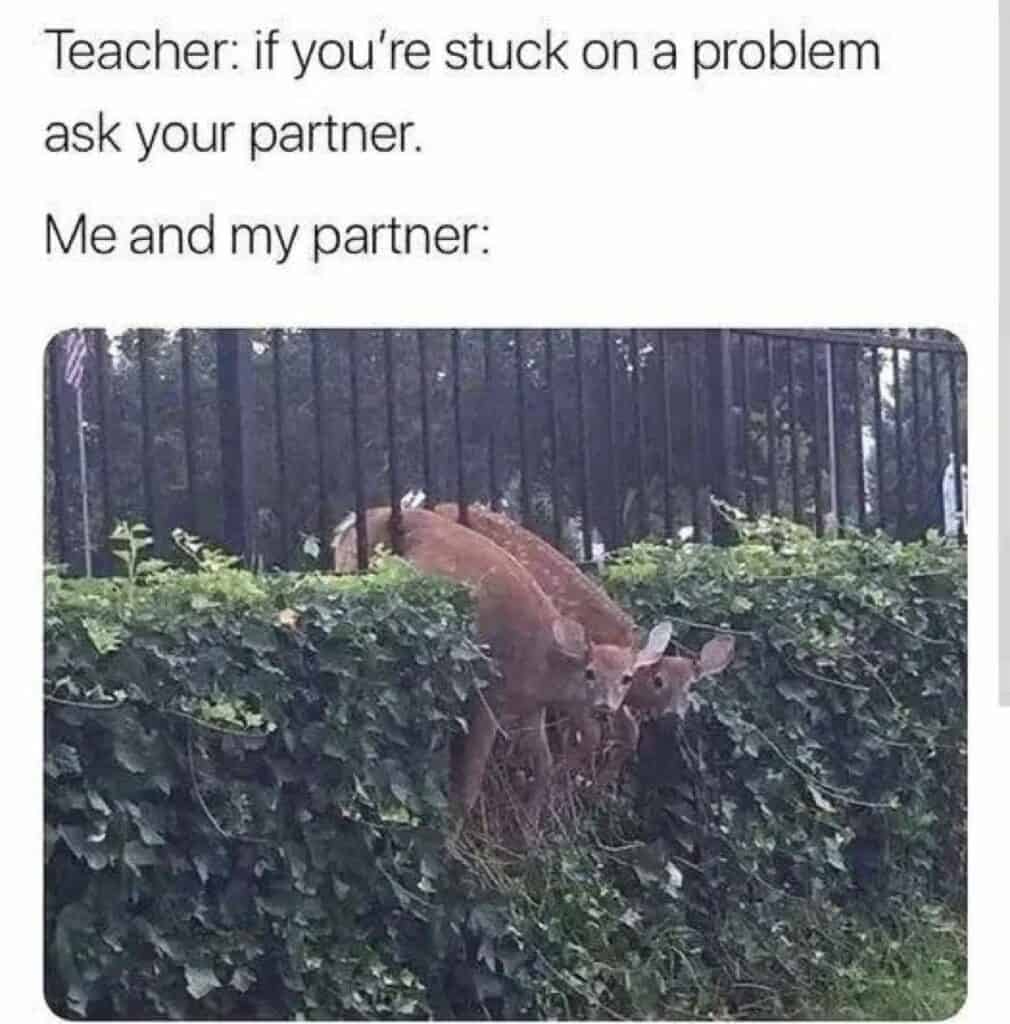 40 Nerdy Memes You Don't Have To Be A STEM Genius To Laugh At But It Helps