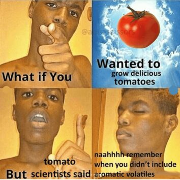 35 Funny Tomato Memes That’ll Make You Laugh Whether You Love or Hate Them