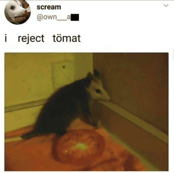35 Funny Tomato Memes That’ll Make You Laugh Whether You Love or Hate Them