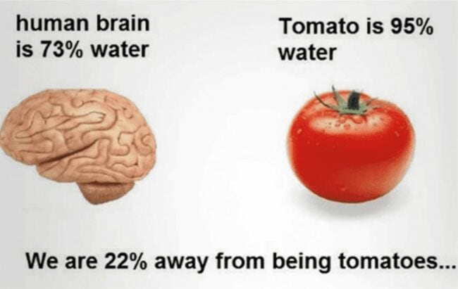 35 Funny Tomato Memes That’ll Make You Laugh Whether You Love or Hate Them