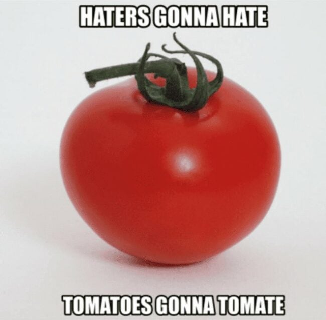 35 Funny Tomato Memes That’ll Make You Laugh Whether You Love or Hate Them