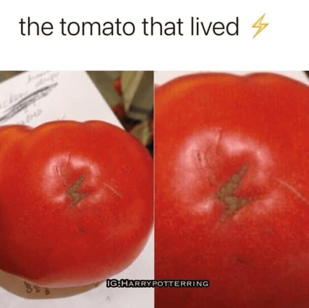 35 Funny Tomato Memes That’ll Make You Laugh Whether You Love or Hate Them
