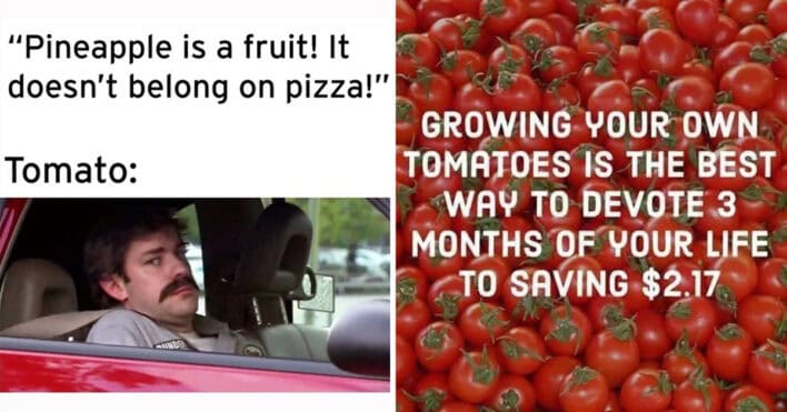 35 Funny Tomato Memes That’ll Make You Laugh Whether You Love or Hate Them