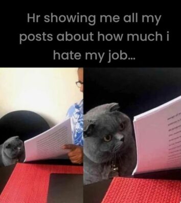 35 Funny Work Memes That Understand Employee Burnout On A Spiritual Level
