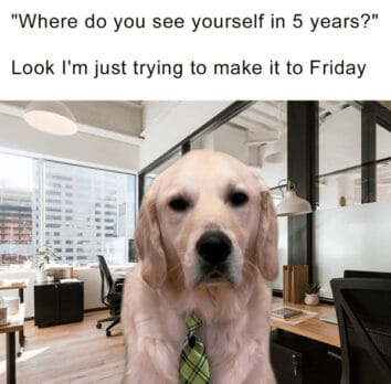 35 Funny Work Memes That Understand Employee Burnout On A Spiritual Level