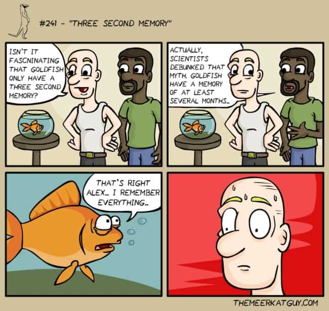 25 Hilarious Comics About Animals From Cartoonist Kevin Erdmann