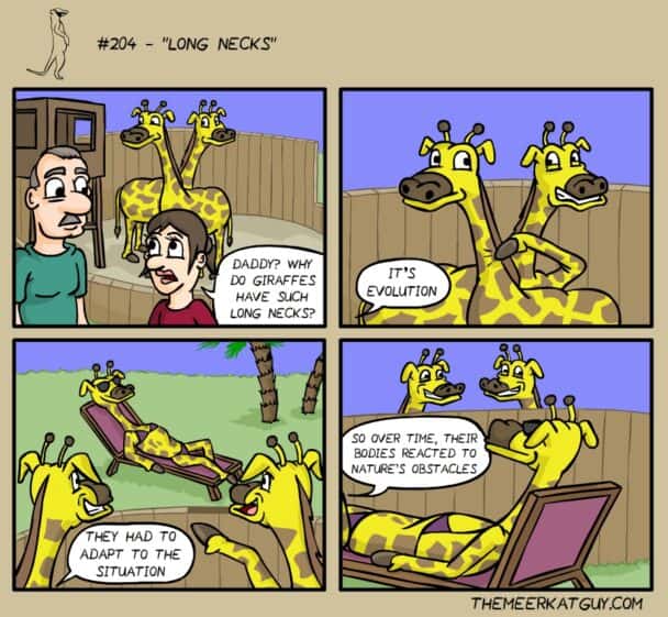 25 Hilarious Comics About Animals From Cartoonist Kevin Erdmann