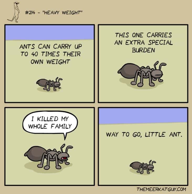 25 Hilarious Comics About Animals From Cartoonist Kevin Erdmann