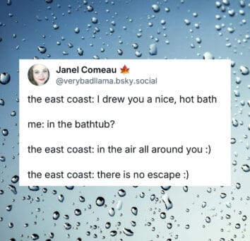 25+ Funny Humidity Memes For Everyone Whose Entire Body Feels Like Post ...